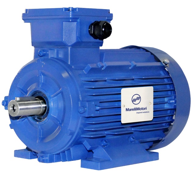 DPP | Marelli Motori